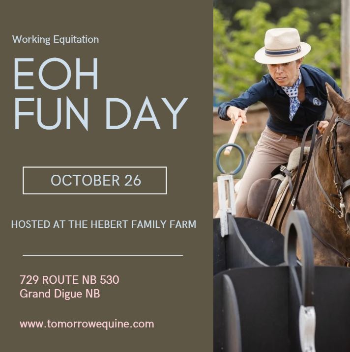 Working Equitation FUN DAY! - Tomorrow Equine